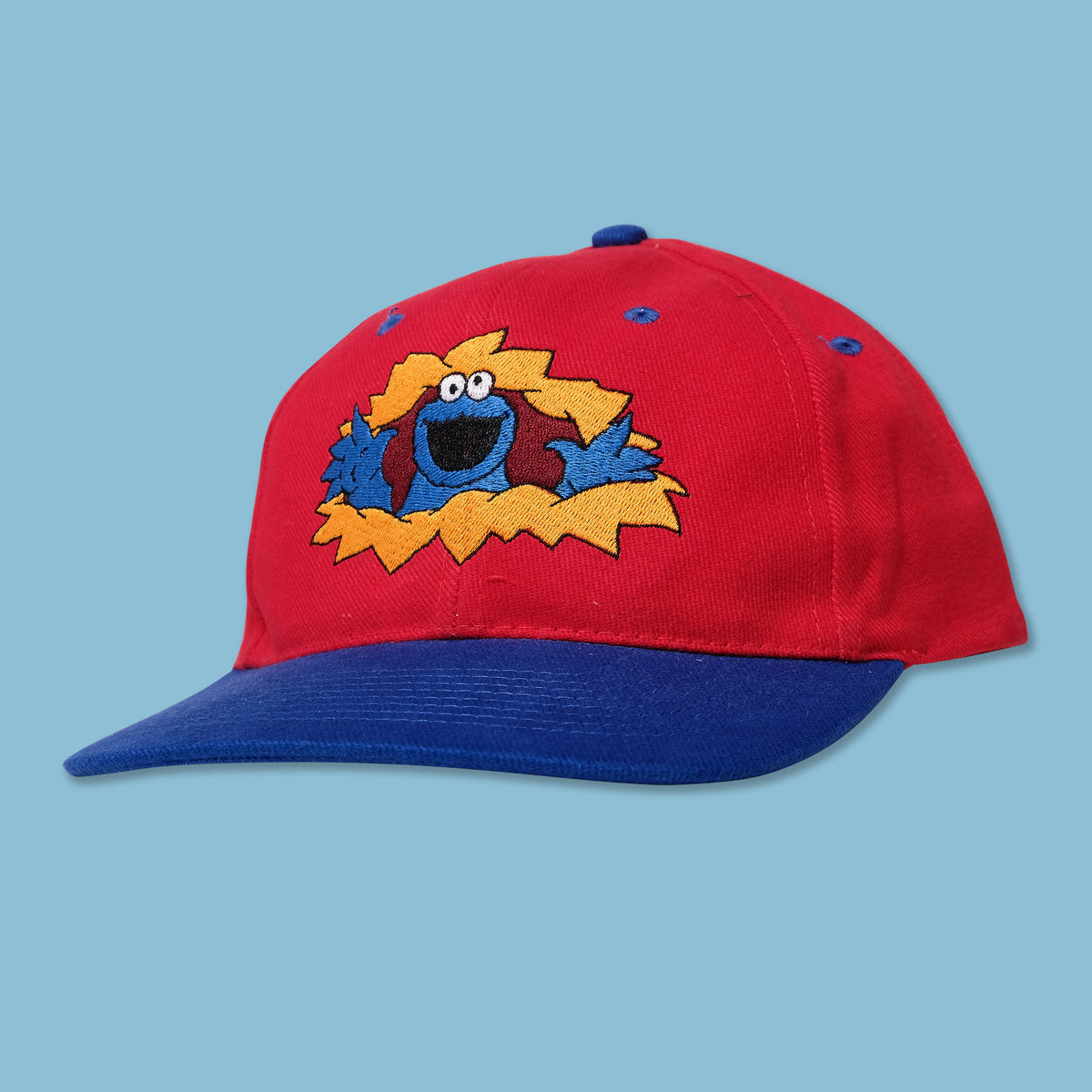 Vintage Sesame Street Snapback | Double Double Vintage