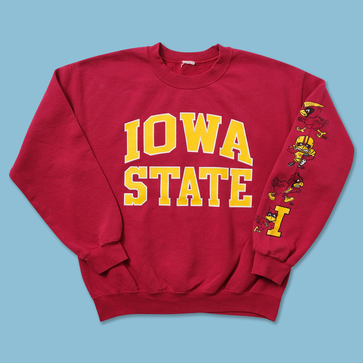 Vintage Iowa State Sweater Medium | Double Double Vintage